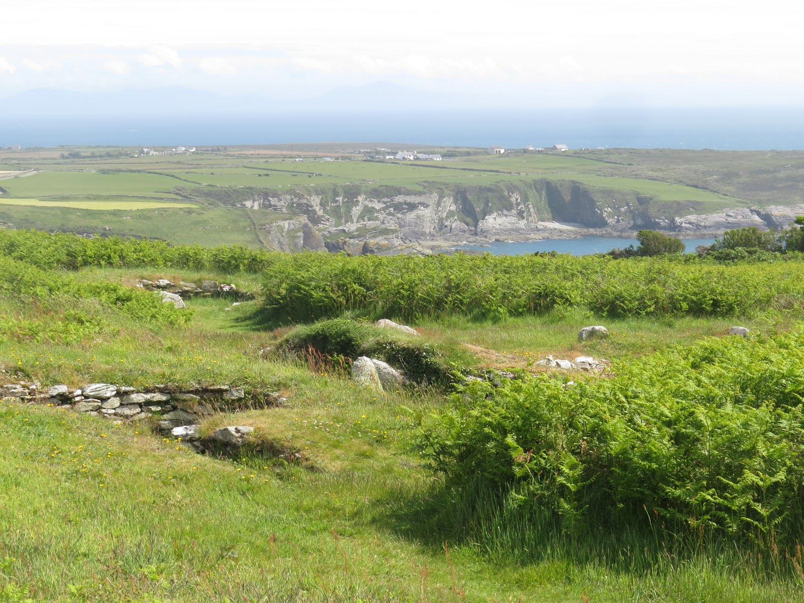 Ragged Robin's Nature Notes: Anglesey - Day 3 Monday 17th June - Part 2 ...
