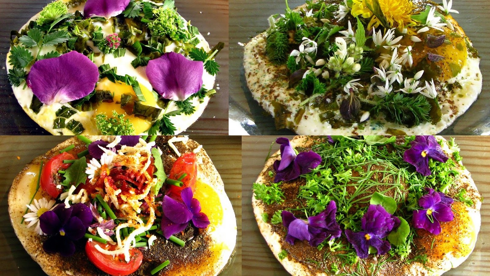 Tang Mad Fra Hav: Spiselig tang sammen med vilde urter og spiselige ...