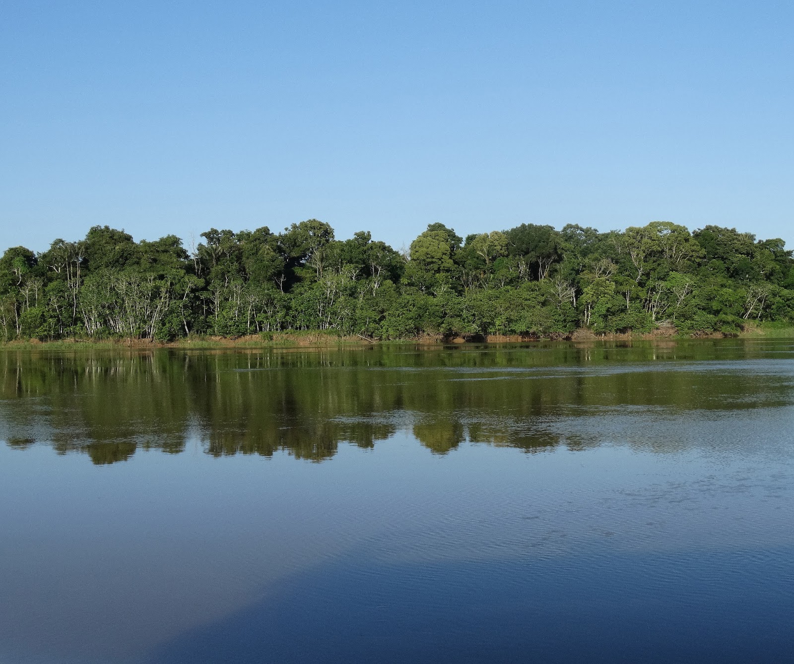 FRUTAS NATIVAS DA AMAZÔNIA: julho 2013