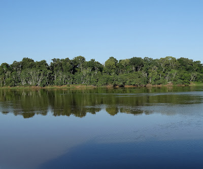 FRUTAS NATIVAS DA AMAZÔNIA