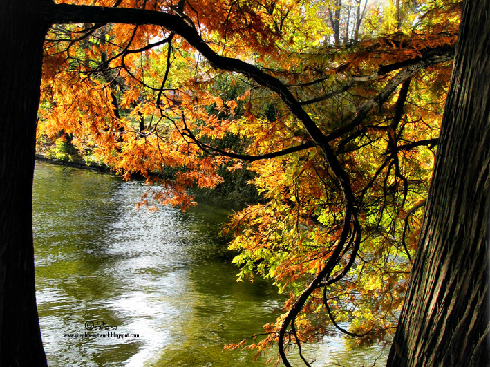 Photographis: October 2011