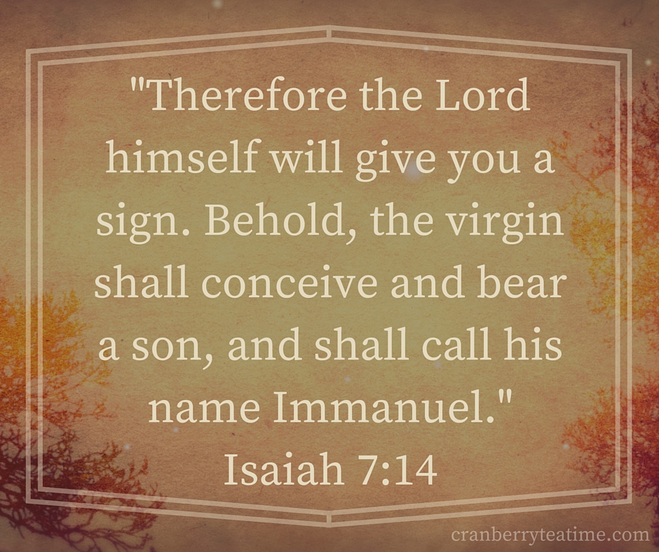 Cranberry Tea Time: Fourth Sunday of Advent: A Sign