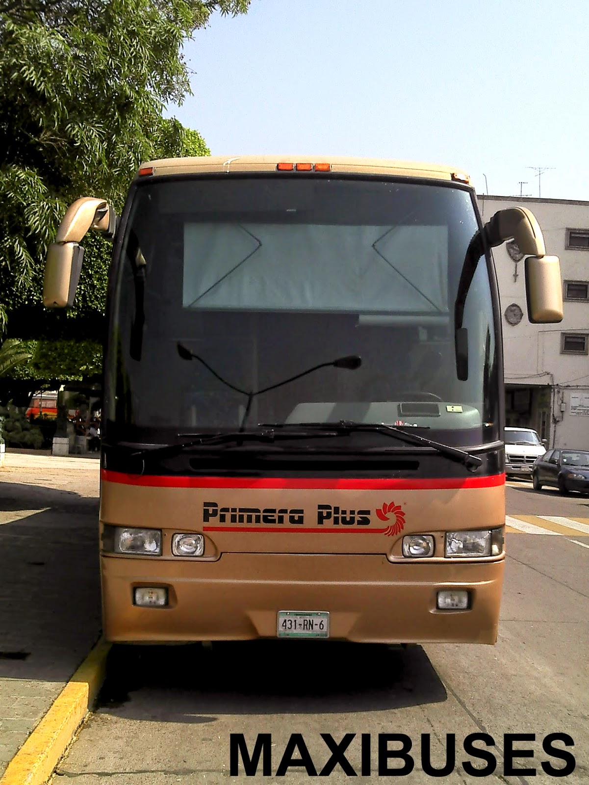 MAXIBUSES: PRIMERA PLUS - DIVISIÓN TURÍSTICA (TURISMO)