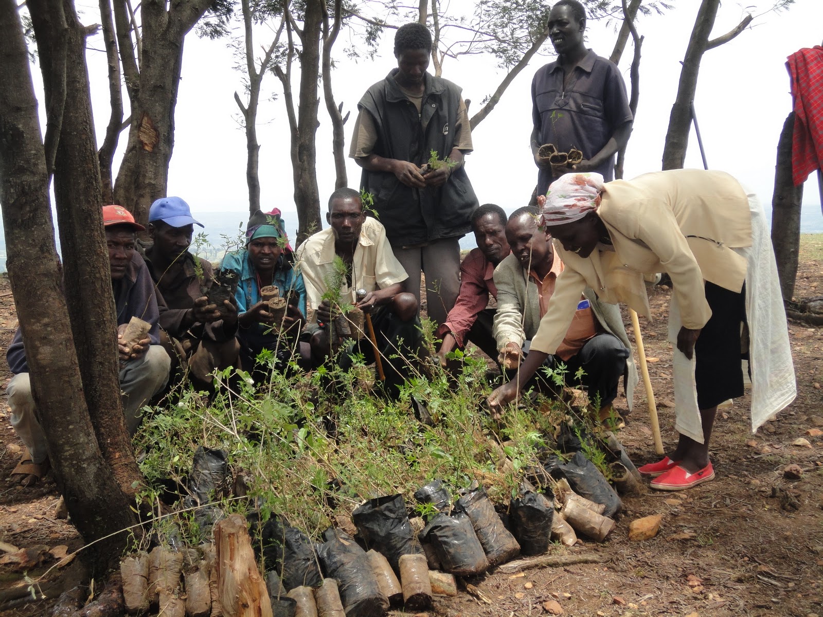 CONSERVATION vs COMMUNITY;Boundary Trees Planting and Community Based ...