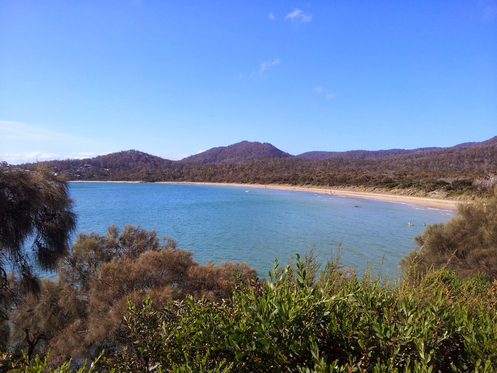 Lazy Swimmer: Coles Bay, Tasmania