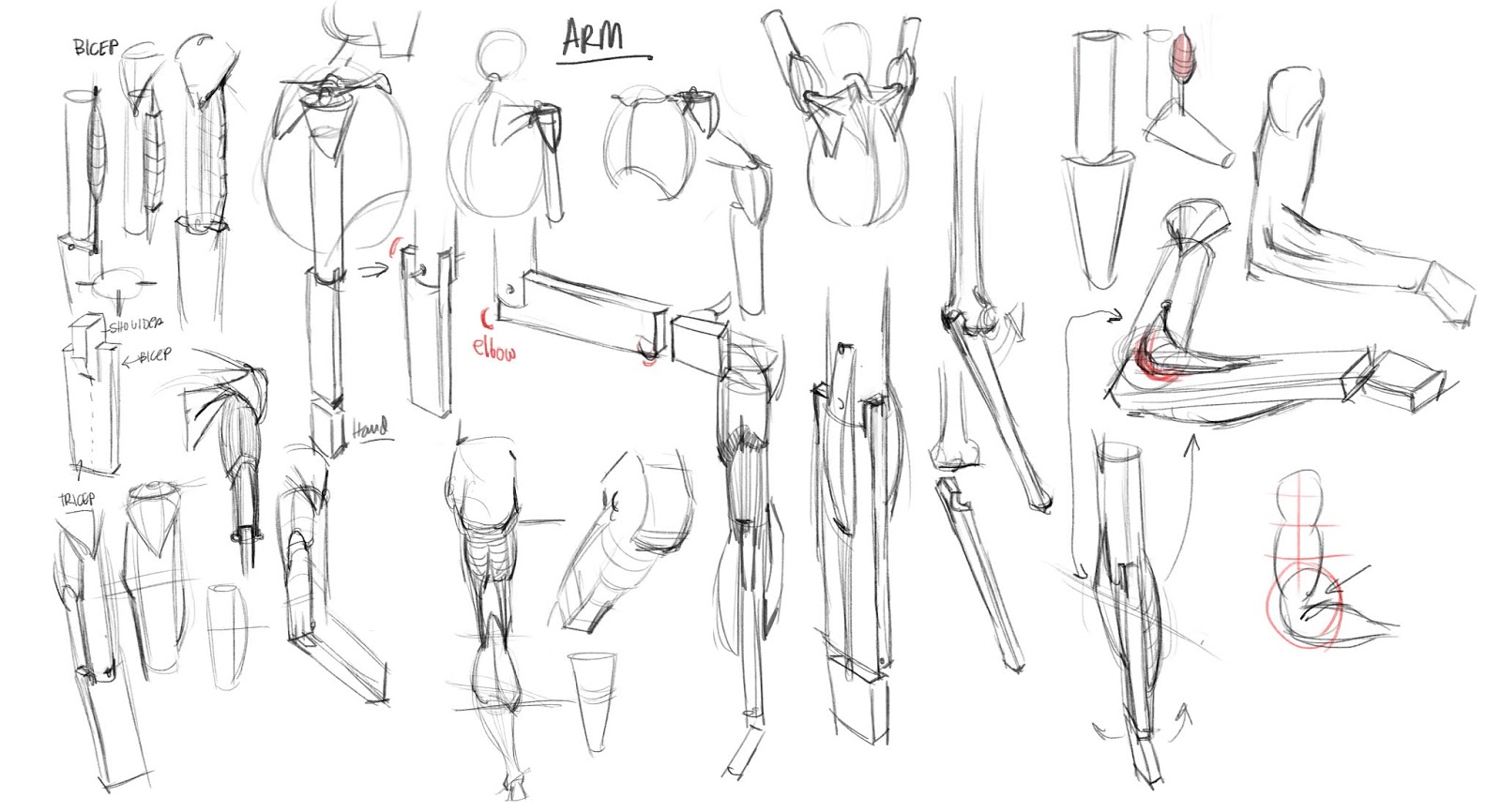 Advanced Figure Drawing & Painting : 2019