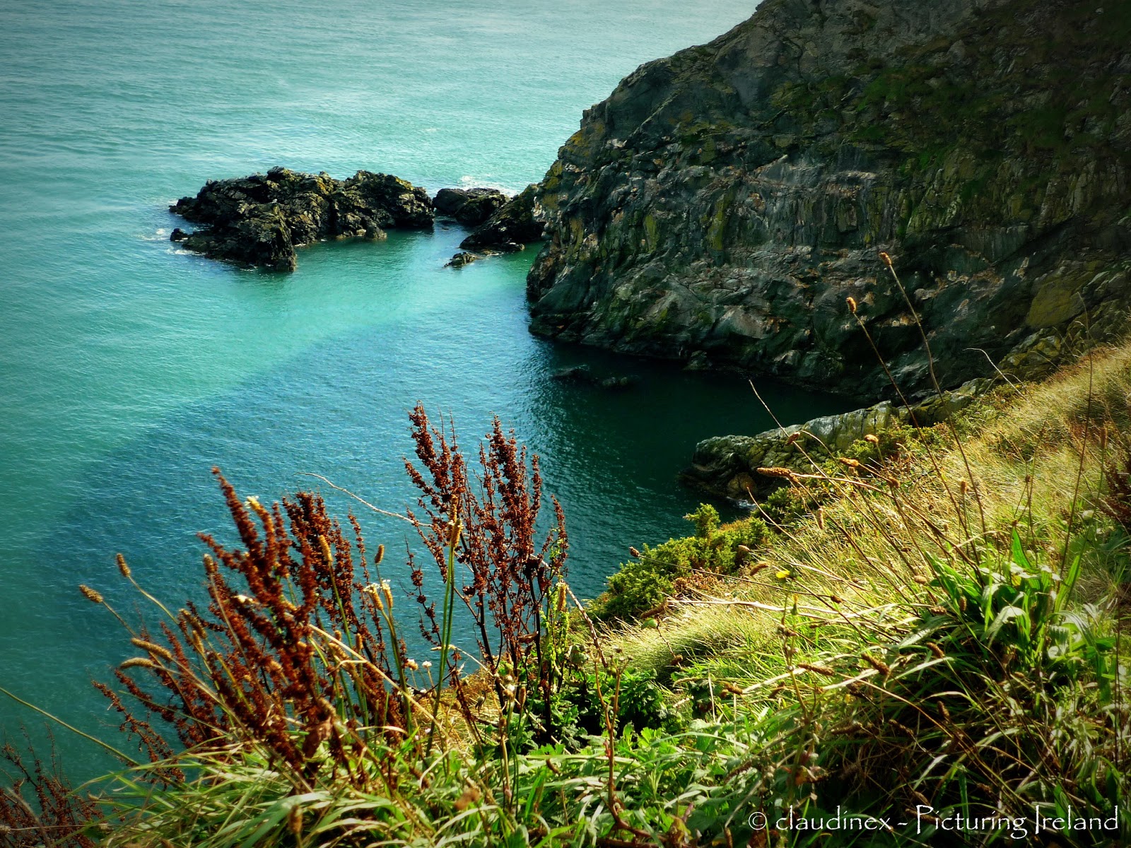 Picturing Ireland : Howth Head cliff walk, Co. Dublin