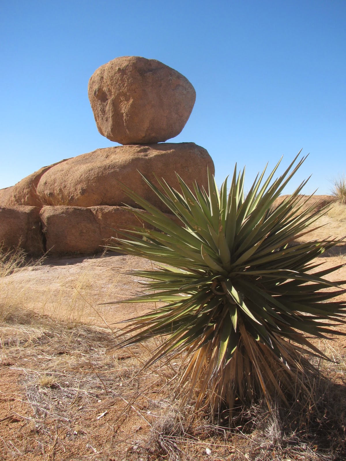 Backyard Excursions: The Pictographs at Council Rocks
