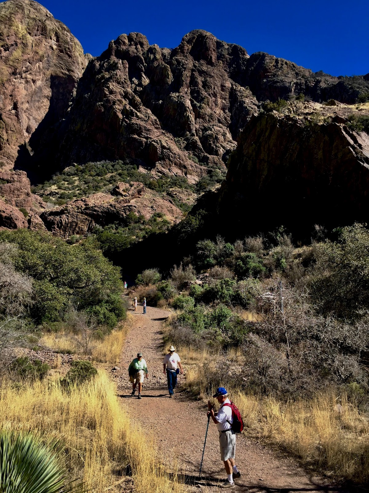 Wandering w/ Serenity: Dripping Springs Hike