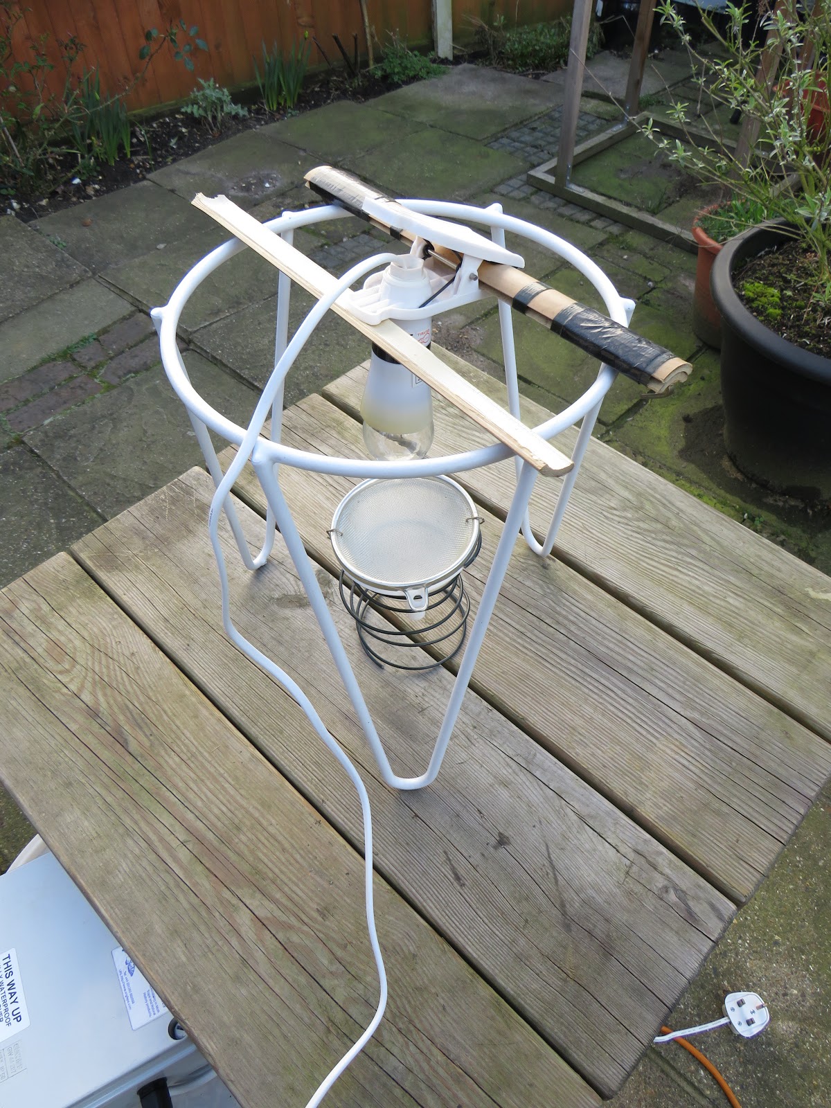 Binoculars, net and bug pots...: Mini-Tullgren Funnel for mini-beasts!