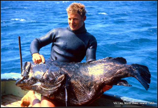 WALLY GIBBINS: THE WORLD CHAMPIONSHIP