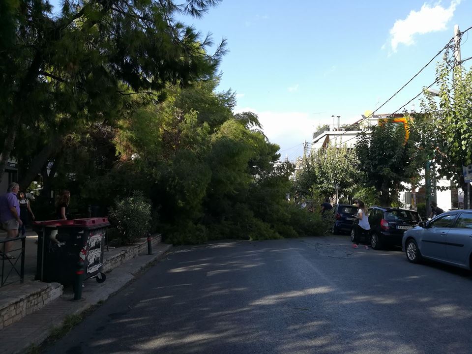 επι-δεξιος (ψάλτης): Εμείς τα λέγαμε...