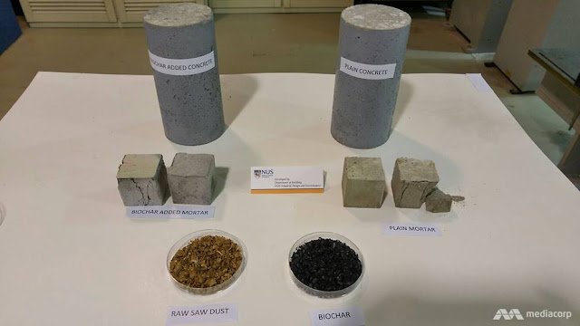 Biochar Interest Group - South East Asia (BIG-SEA): Biochar and ...