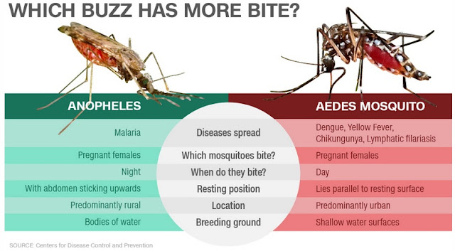 VIVA JOY HEALTH: HELP please! DENGUE!!