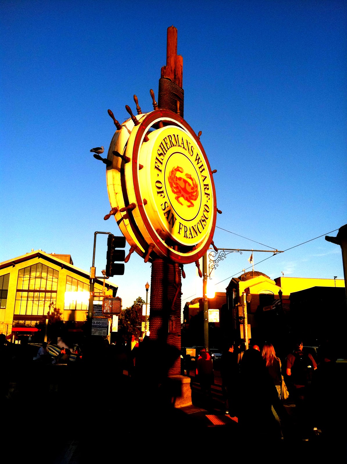 jessee's spot: Traipsing about the Bay A