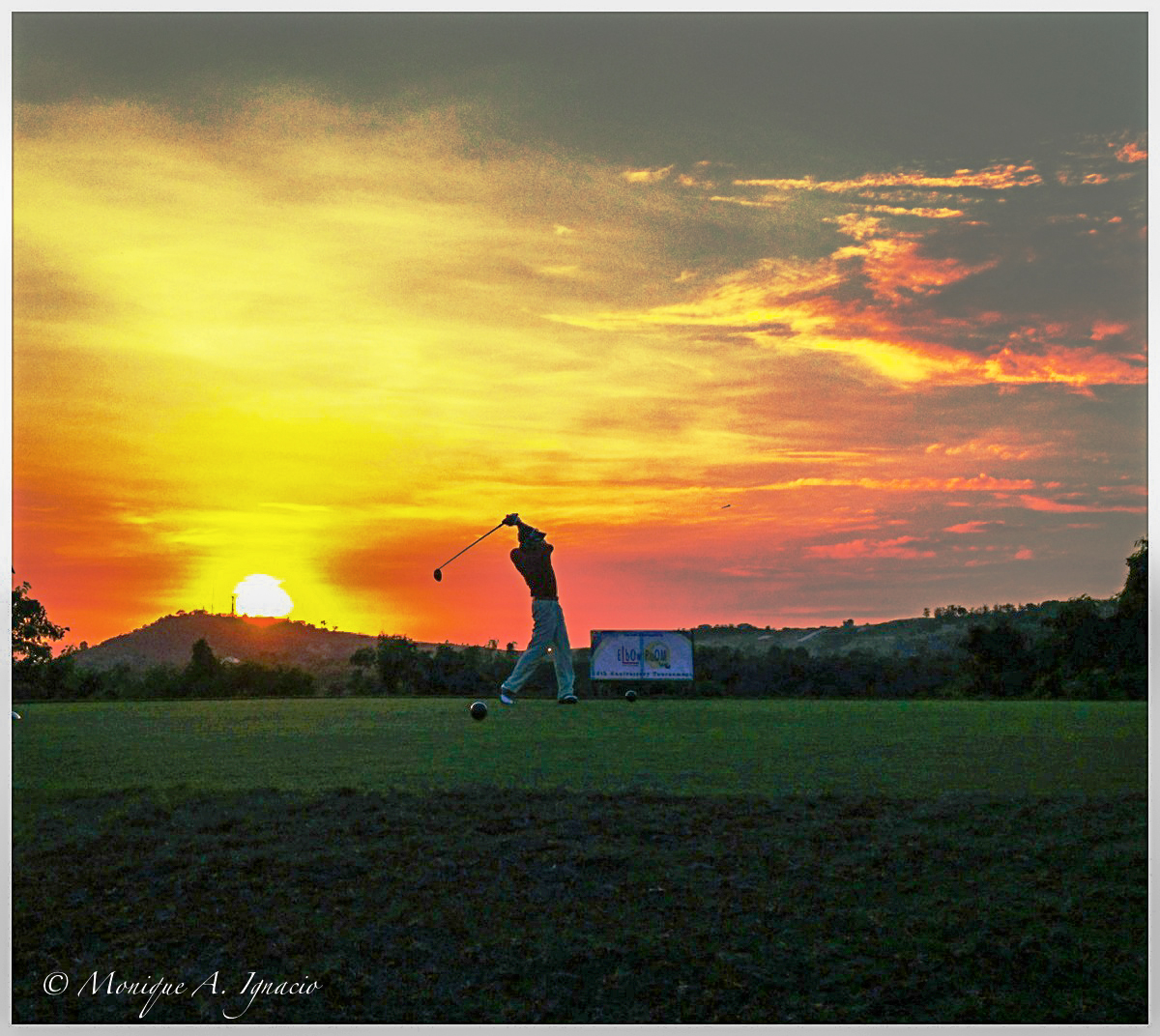 Hog Heaven: Happy New year!