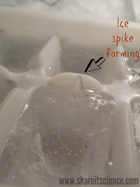 Share it! Science : Ice Science: Grow Your Own Ice Spikes!