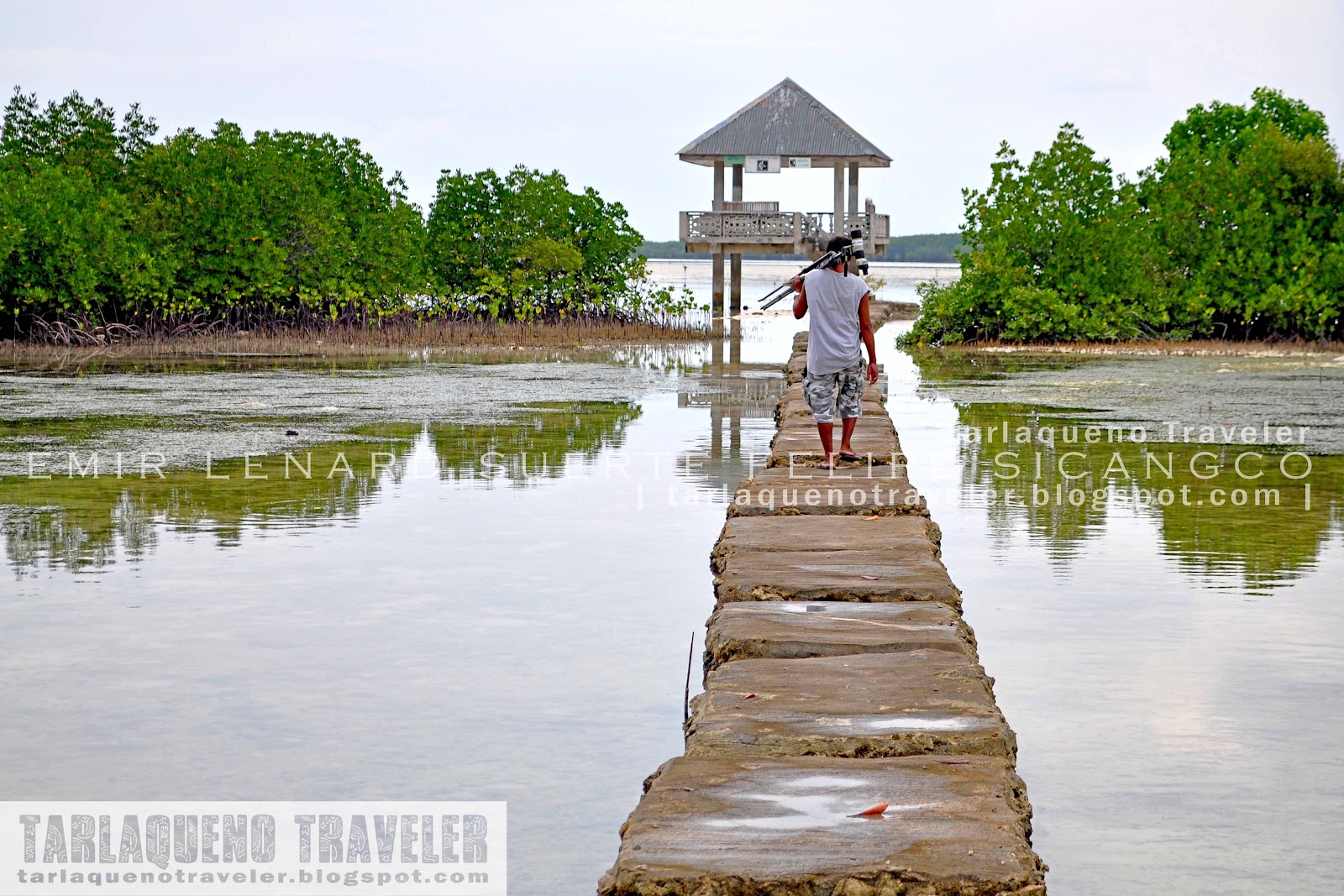 Bird Watching at Olango Island Wildlife Sanctuary || Tarlaqueno Traveler