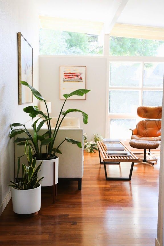 avant garde design: leading spaces.