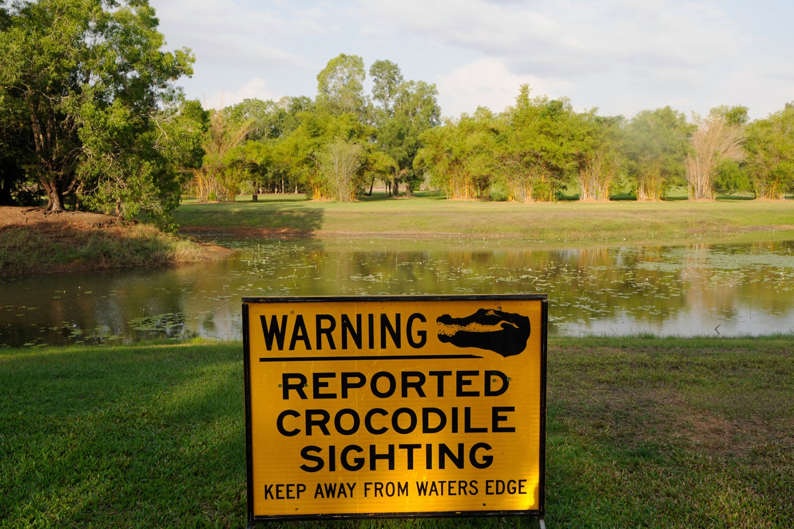 Small Animal Talk: The facts about crocodile attacks