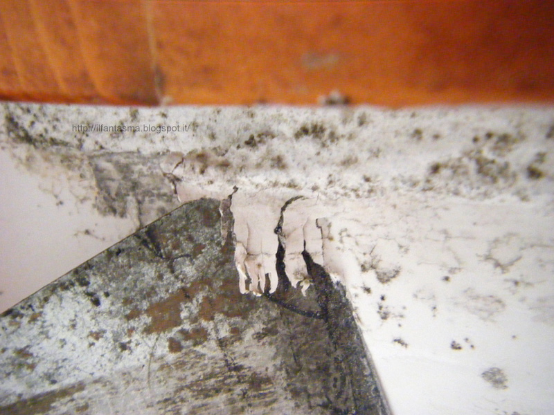 Le avventure della mia fantasia: Pittura a calce contro la muffa sul muro
