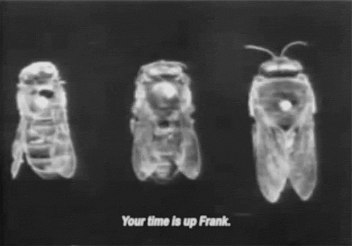 Wormed of Horrors: accustomed to converse on terms of perfect equality