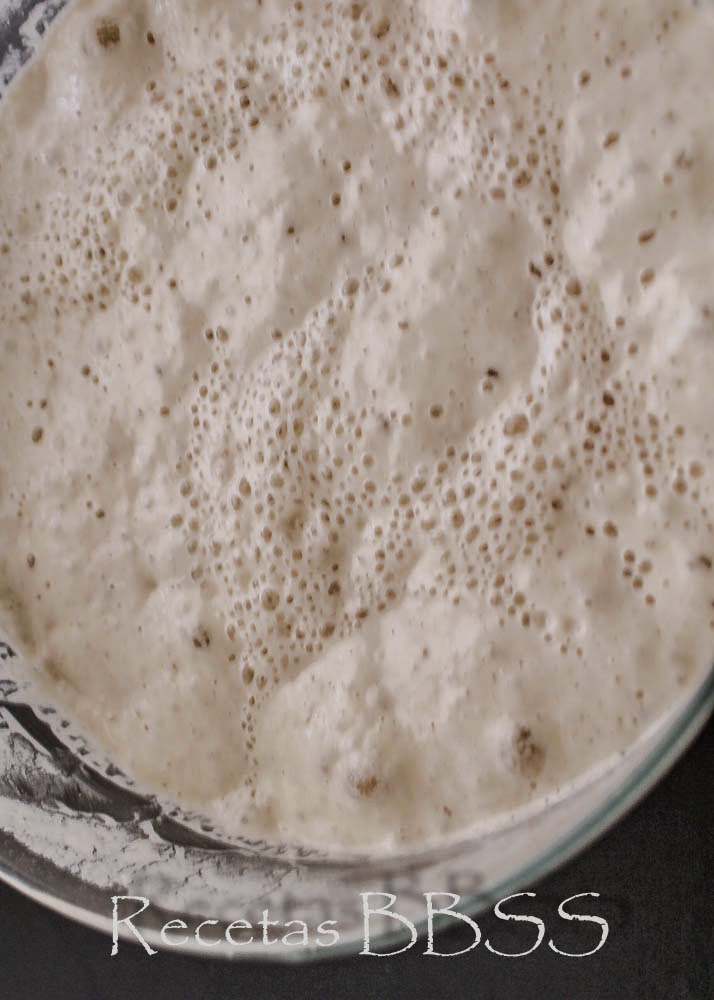 Recetas BBSS: Poolish. Ficha 3