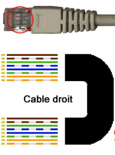 Cours Informatiques: Cablage informatique