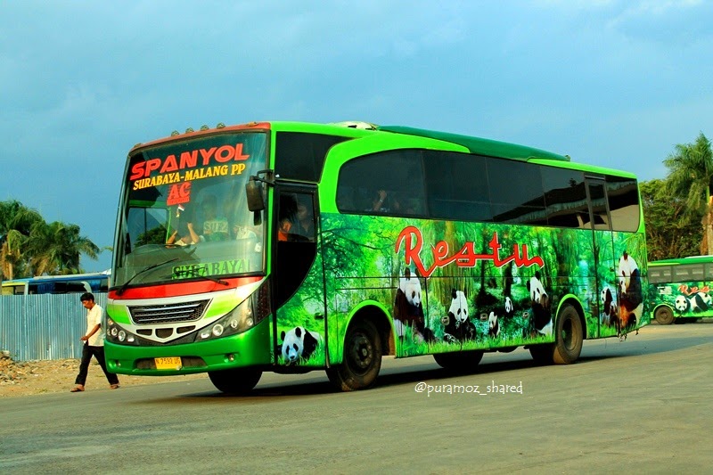 Kumpulan Foto Bis Restu Panda Arjosari Malang - Kumpulan Foto Bis