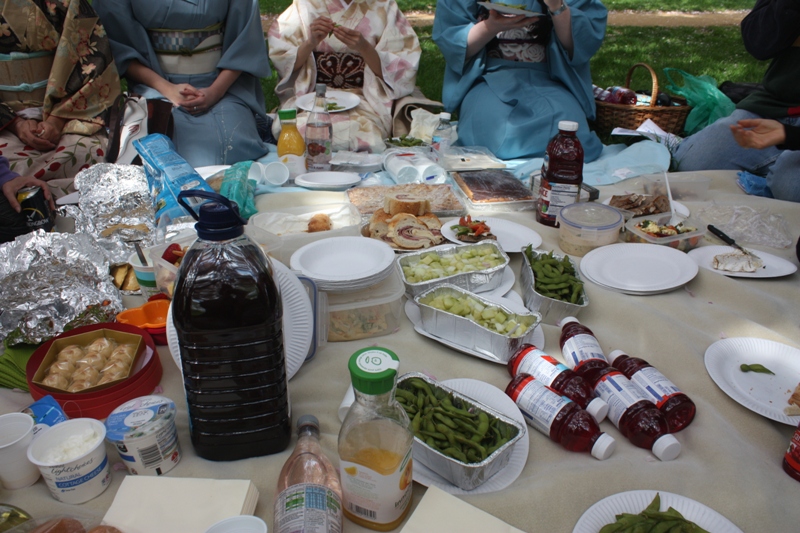 Strawberry Kimono: Hanami Picnic in London