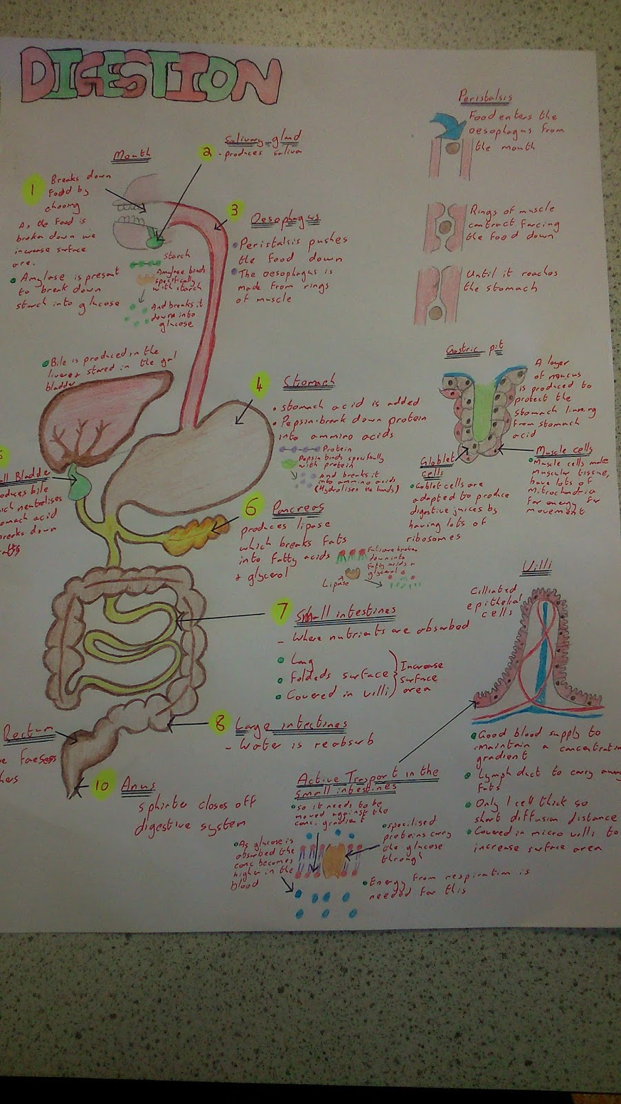 Imaginative Teaching Ideas: Using large models to teach complex ideas
