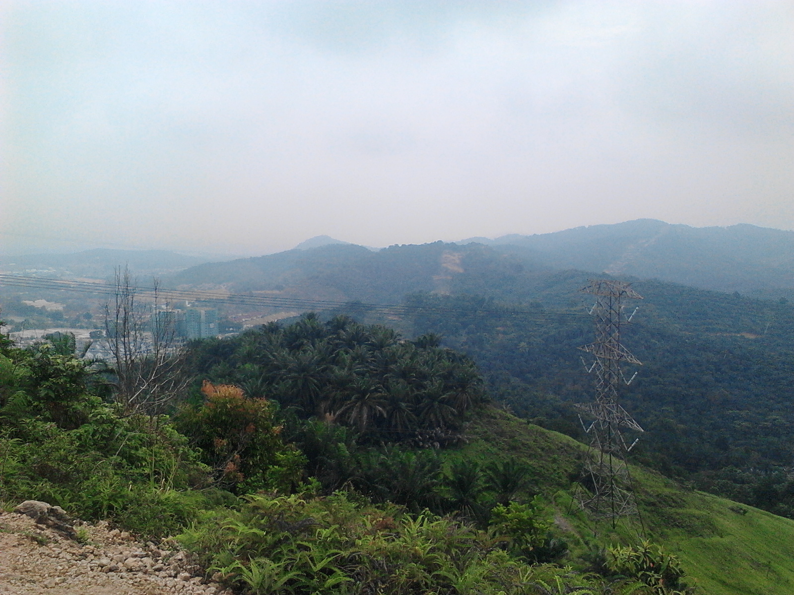 Rainforest Tracker's: #Bukit Botak Puncak Alam aka Bukit Cherakah