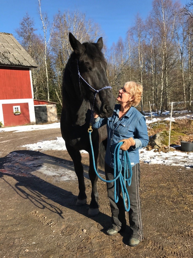 Mina fyrbenta vänner: februari 2017