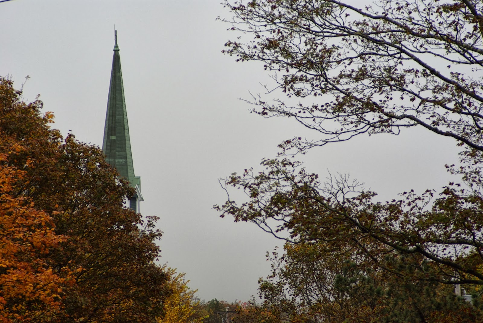 Steve Nason's Photography