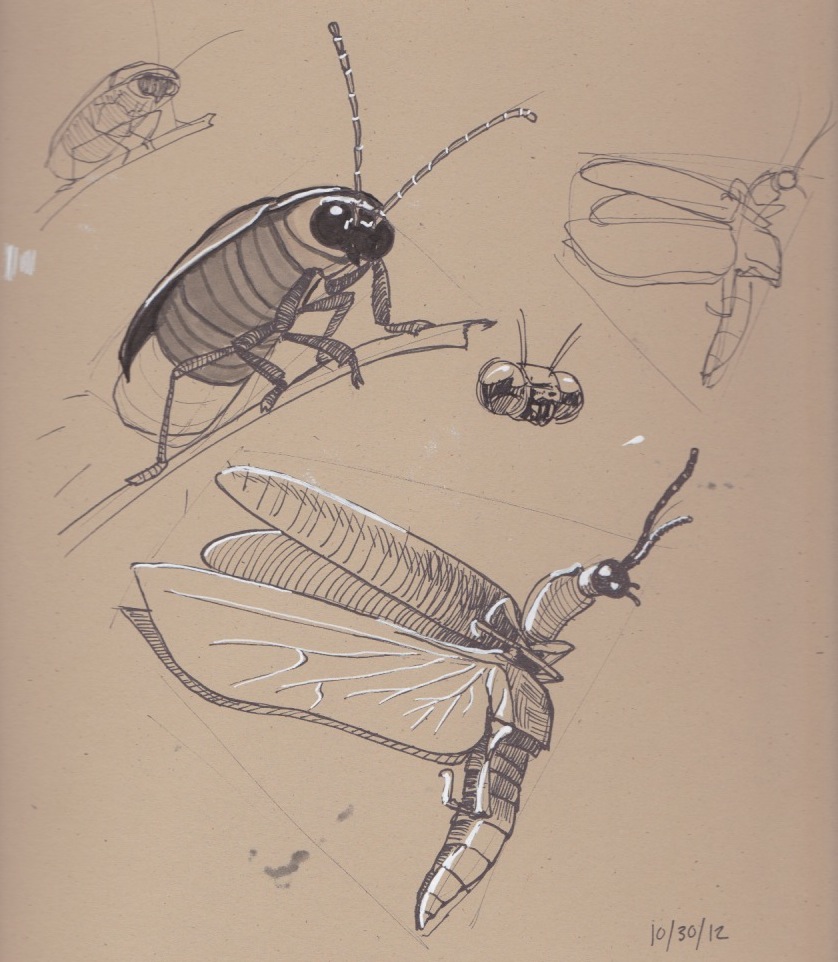 Gina Draws . . .: Dynamic Sketching Week 4 - Insects