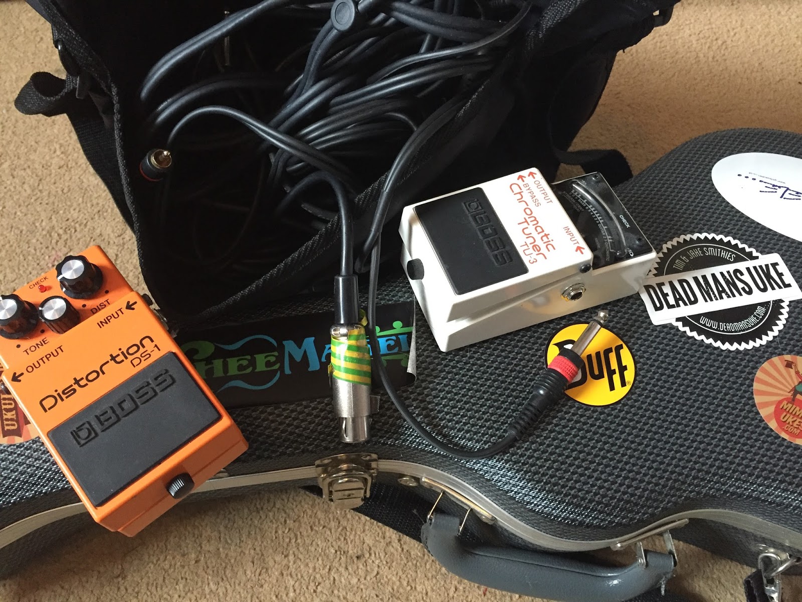 What To Take To The Ukulele Gig