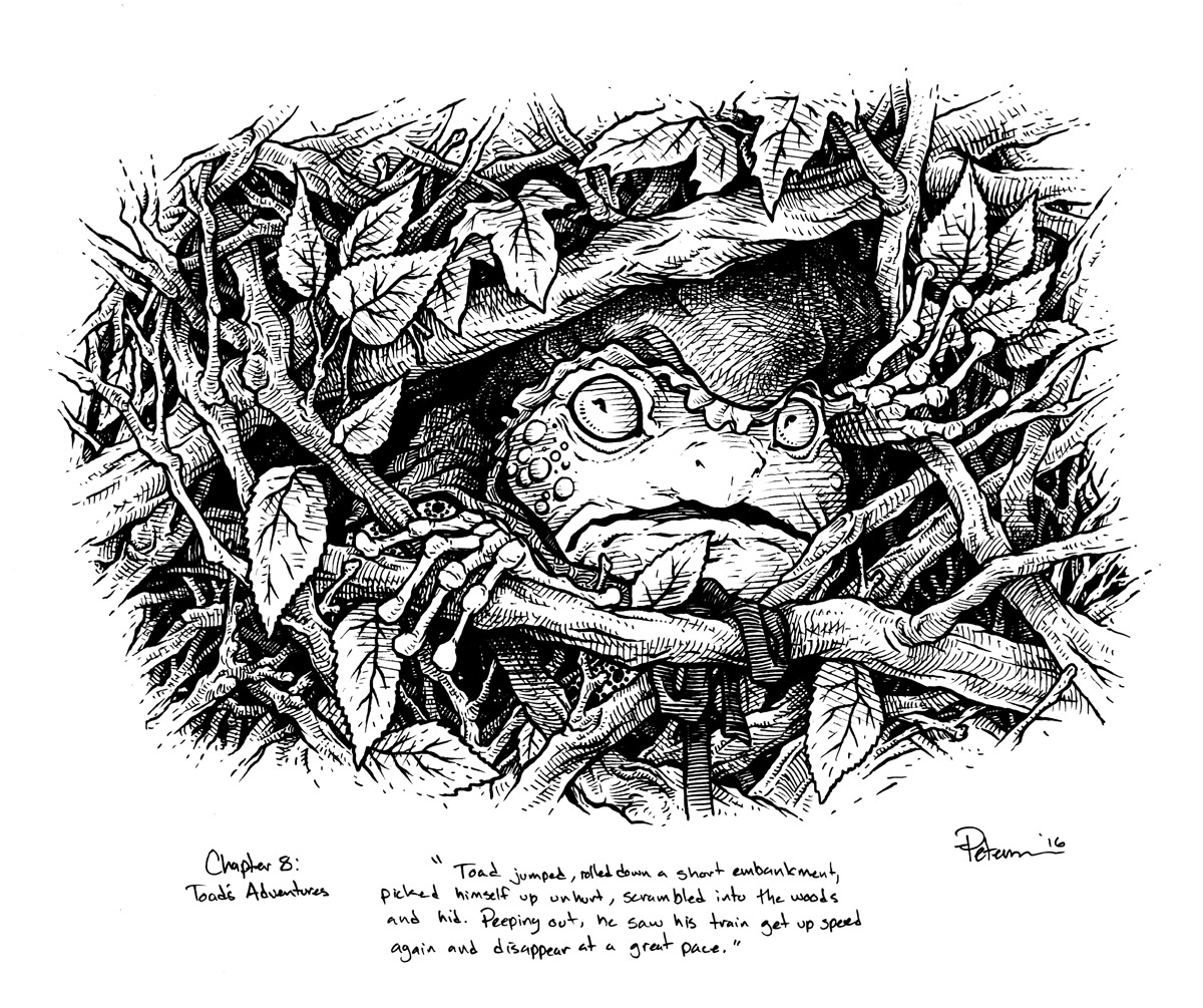 David Petersen's Blog: Wind in the Willows: Toad in Hiding Illustration ...