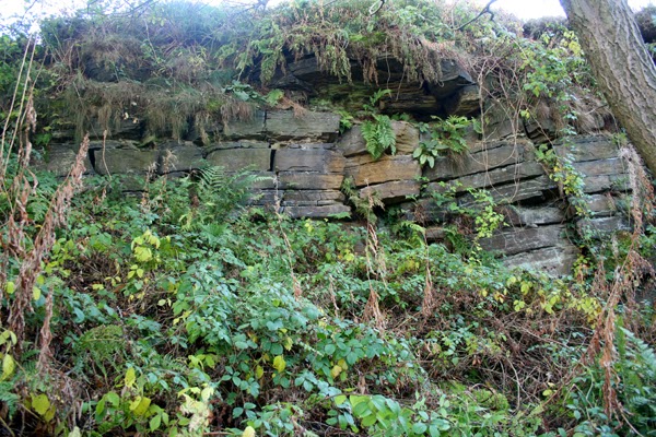 The Language of Stone: Green Moor Quarry