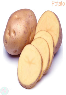 Vegetables Names with Meaning and Picture | Vegetable Vocabulary ...