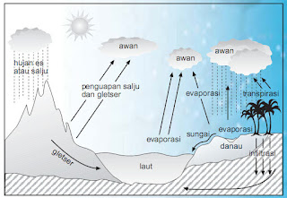 SIKLUS HUJAN | my biologi smart