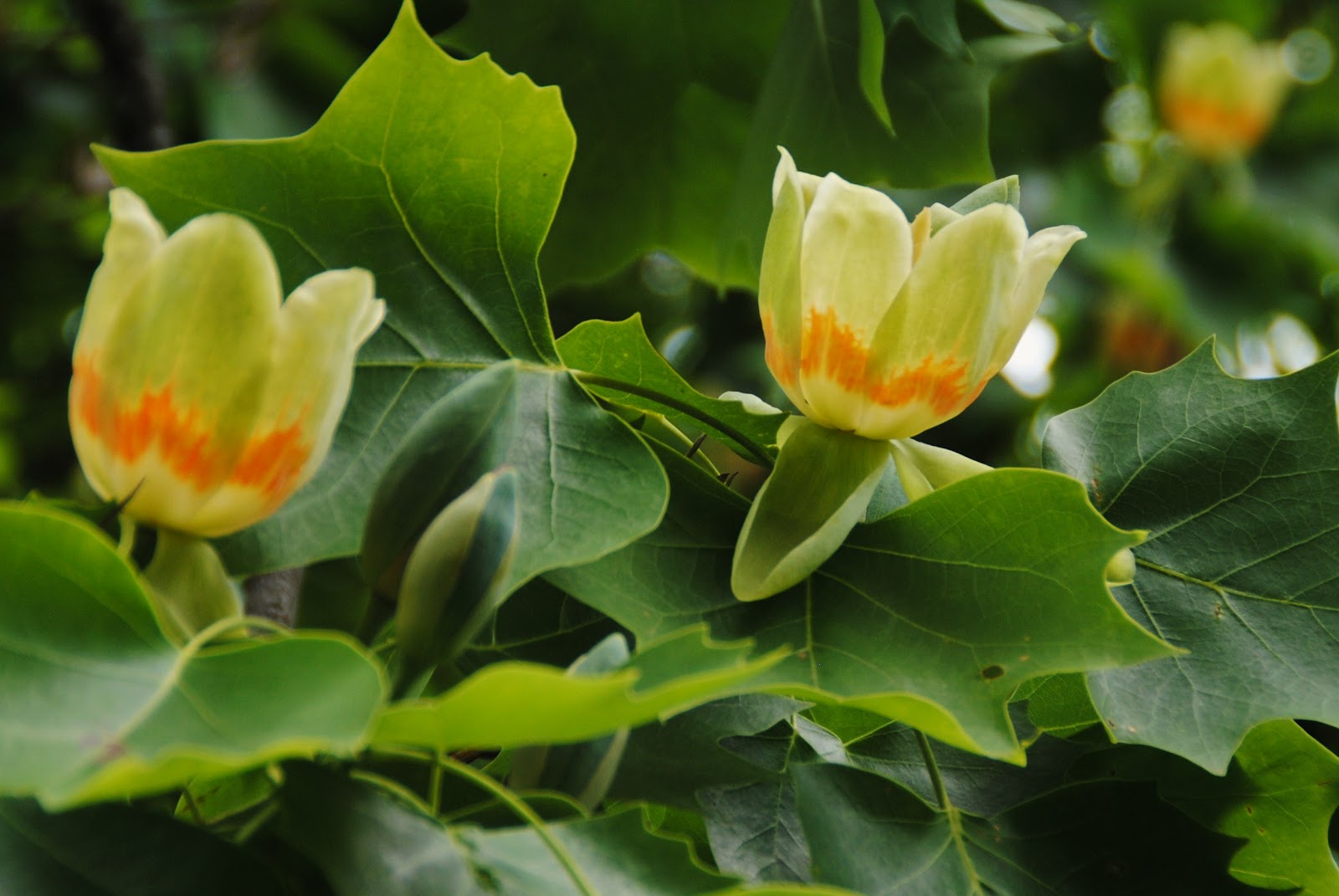 Life According to Jan and Jer: Gallery