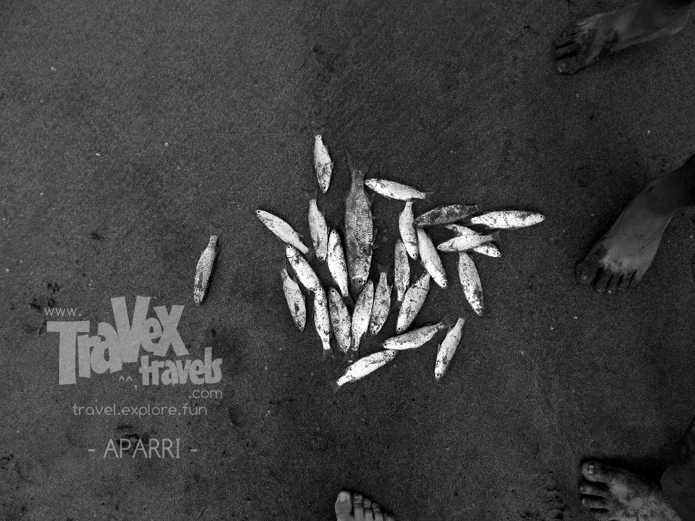 Aparri Beach, The Park, and Sigay (Fishing in Cagayan) - Travex Travels ...