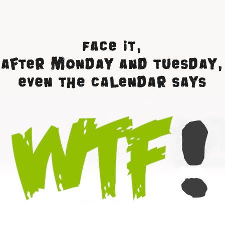 The Calendar Says WTF - Introspective World