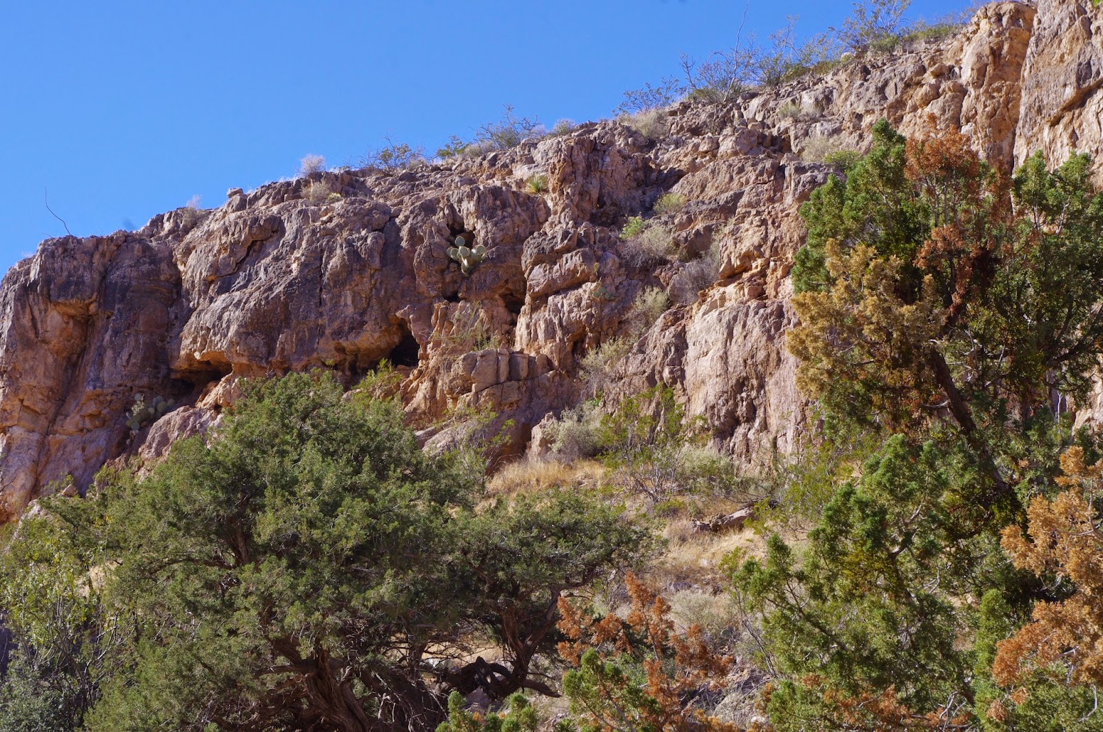 Southern New Mexico Explorer: Robledo Mountains Wilderness, " Middle ...