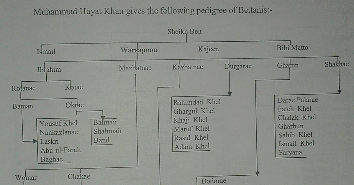 Genealogical table of Beitani tribe | History of Pashtuns