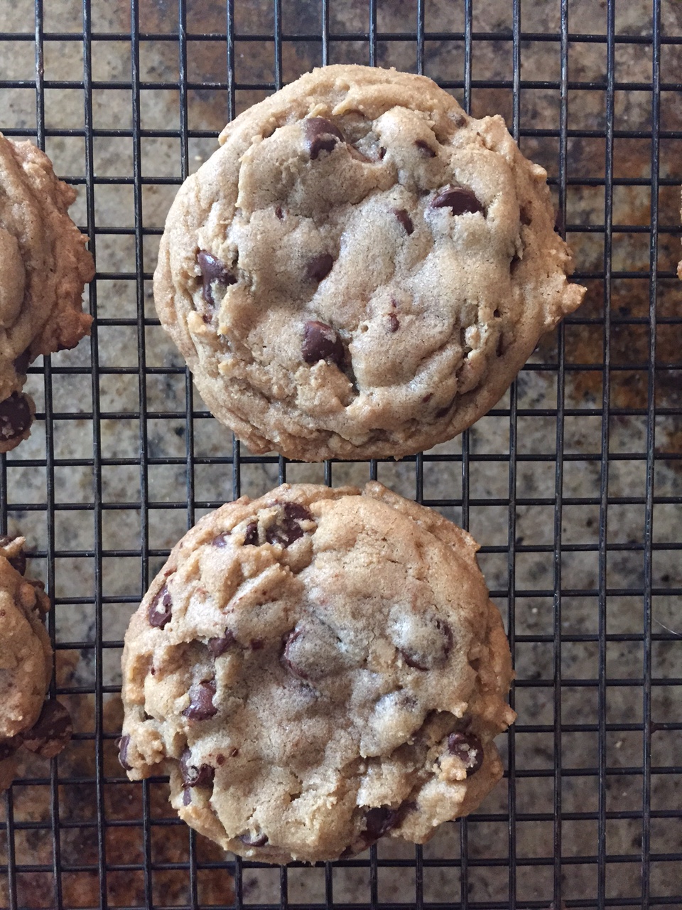 A Happy Carrot: My Life: The Great Chocolate Chip Cookie Experiment