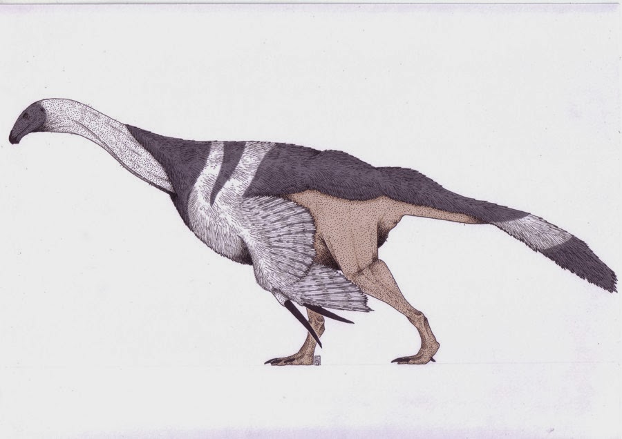 Dinosauriomanía, lo que querías saber de los dinosaurios: Maniraptora ...