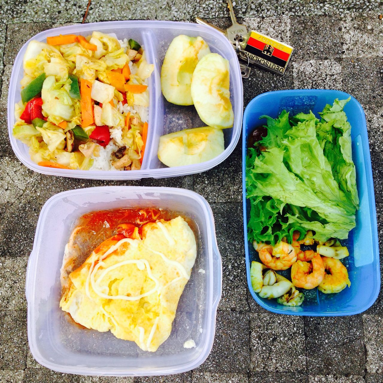Membawa Bekal (Bento)