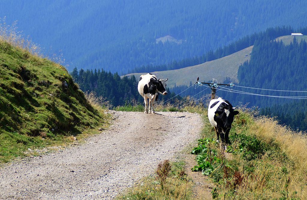 Csedö Attila: Ráró Fejedelemasszony Kövei, és a Ráró csúcs.
