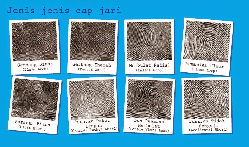 Creating Wonder - the Petrosains Blog: 'Rabung' Dan 'Lekuk' Sebab Corak ...